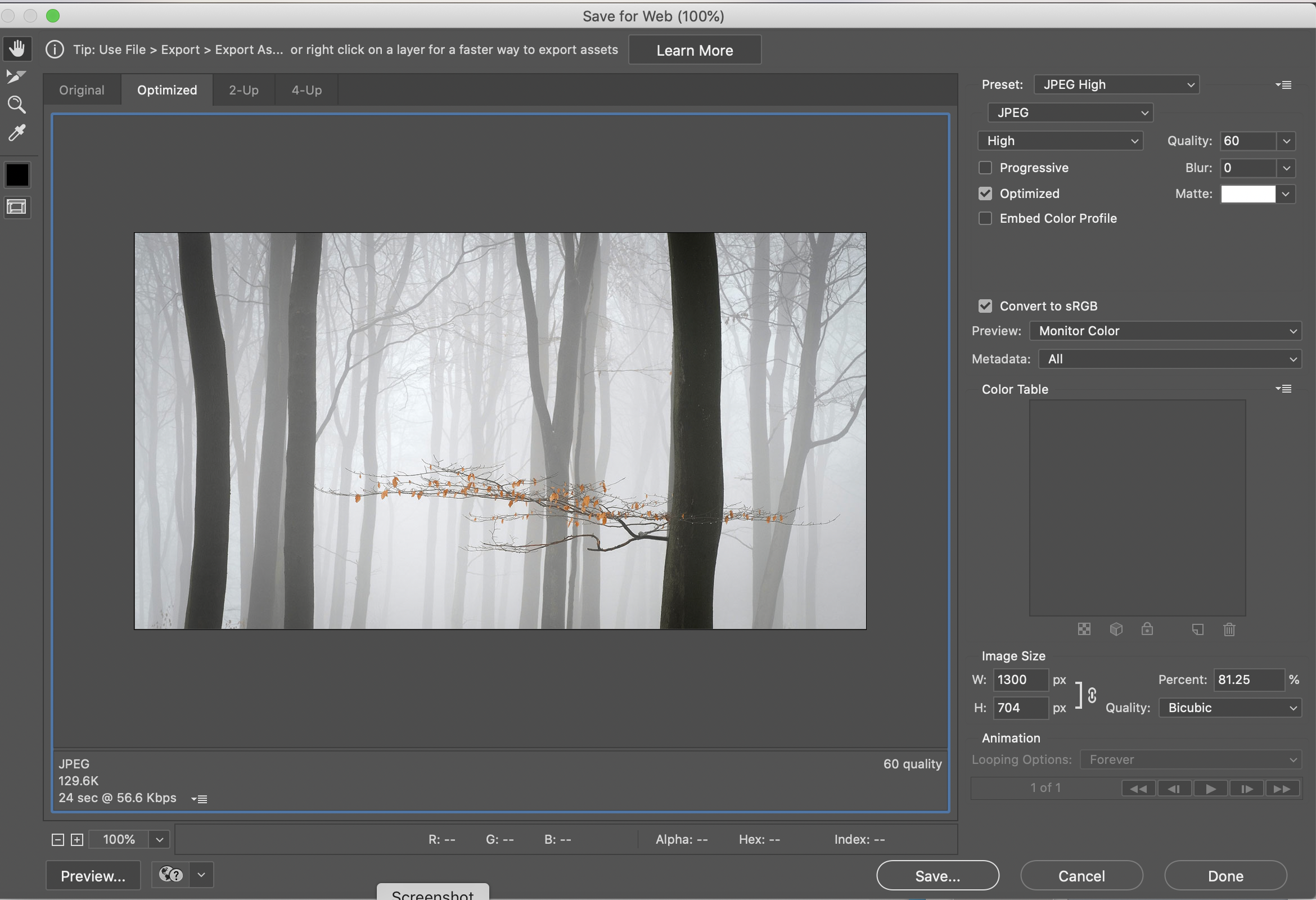 Matt Oliver | Elegant Clutter | Fine Art Photographer